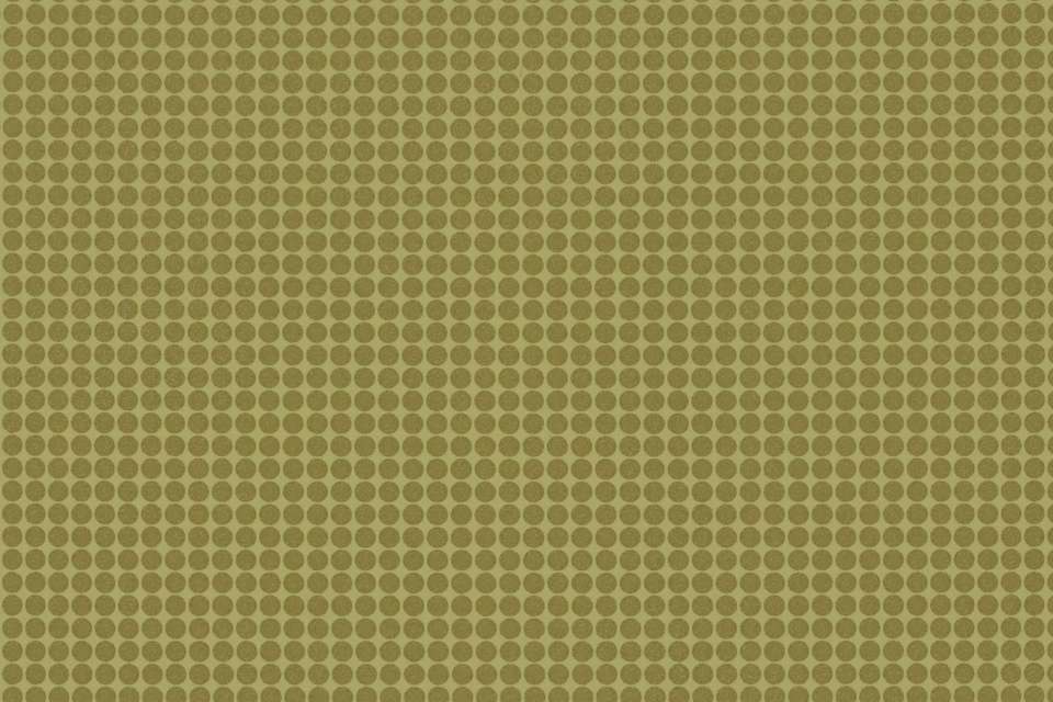 OFS - Big Dot Cactus